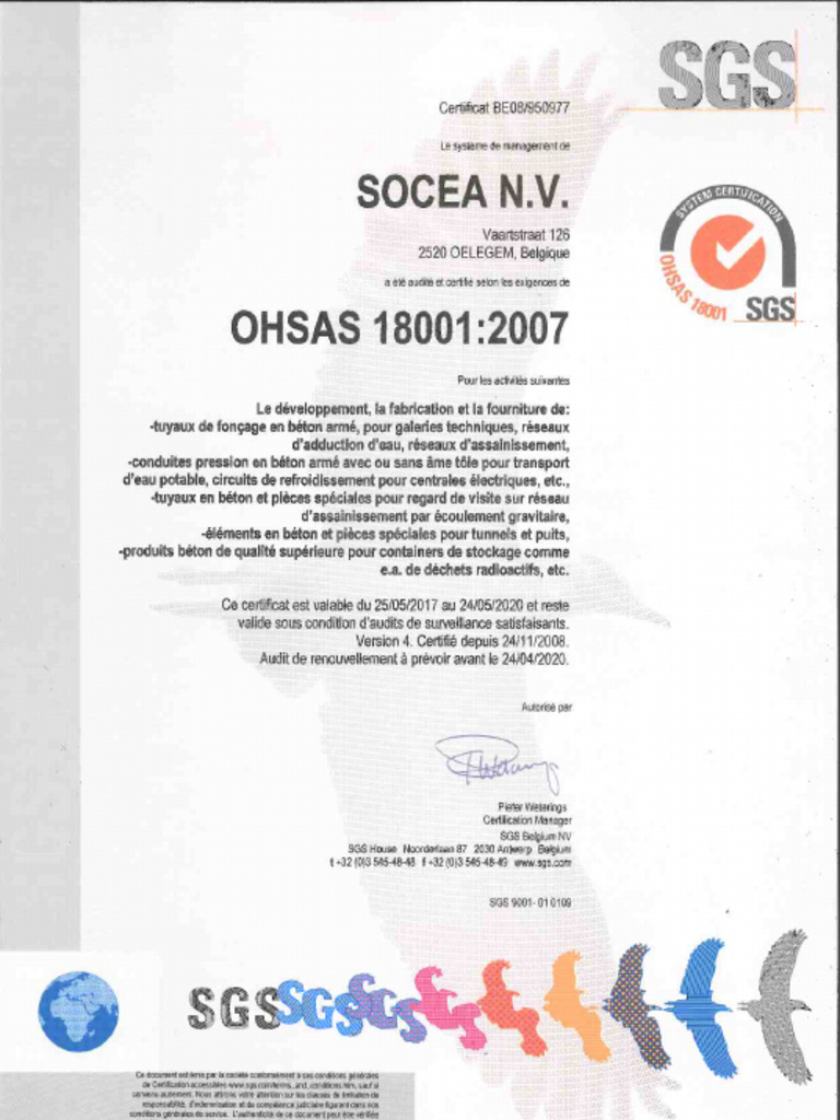 OHSAS 18001 2007 F Socea | PDF
