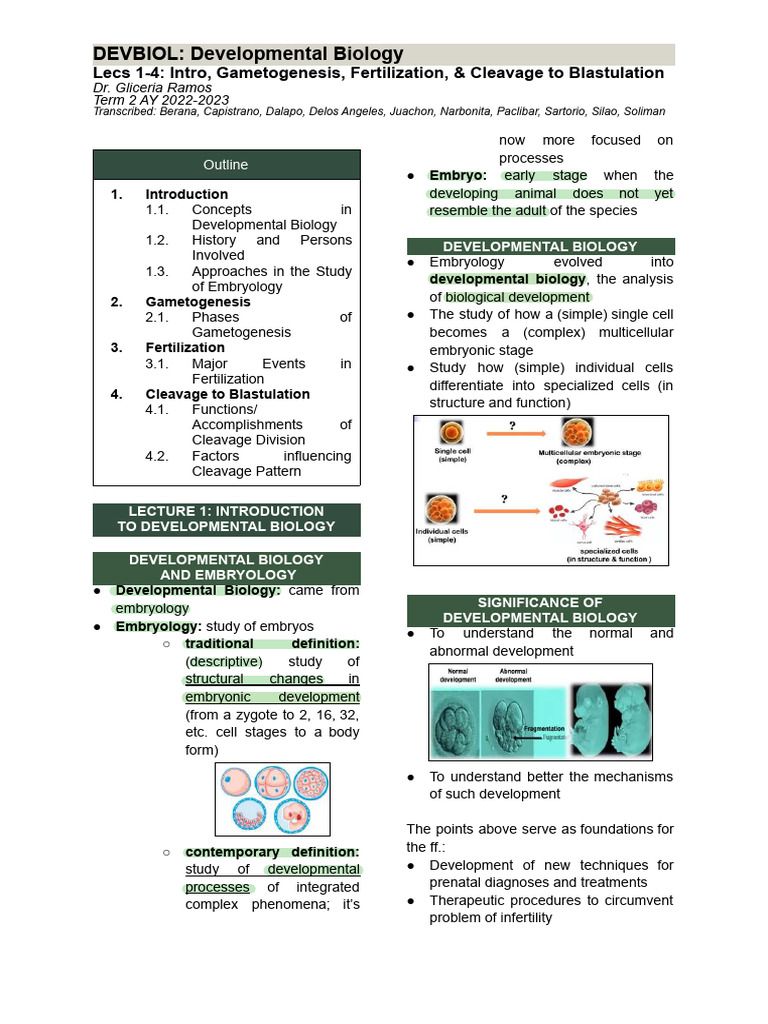 Devbiol Le 1 Notes | PDF | Cell Potency | Developmental Biology