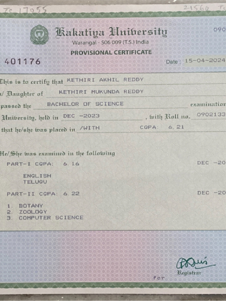 Provisional Certificate | PDF