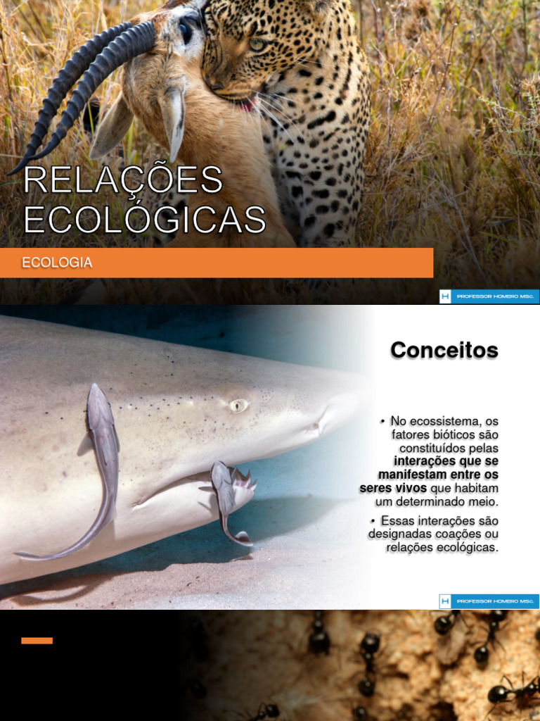 Relações Ecológicas Harmônicas e Desarmônicas | PDF | Plantas | Predação