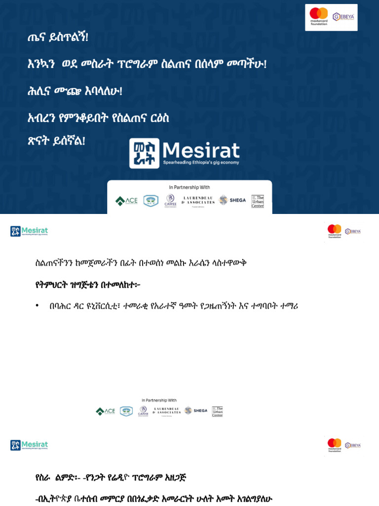 Persistence PPT by Hilina | PDF