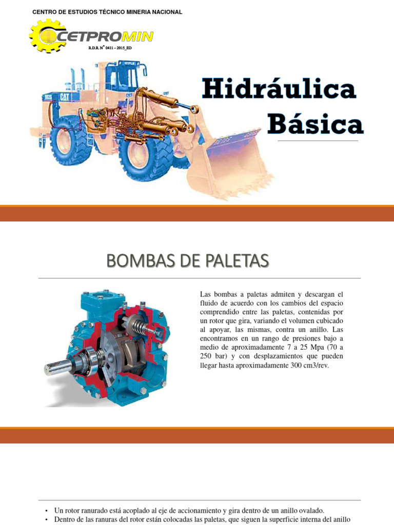 Bomba de Paletas | Descargar gratis PDF | Bomba | Rodamiento (Mecánico)