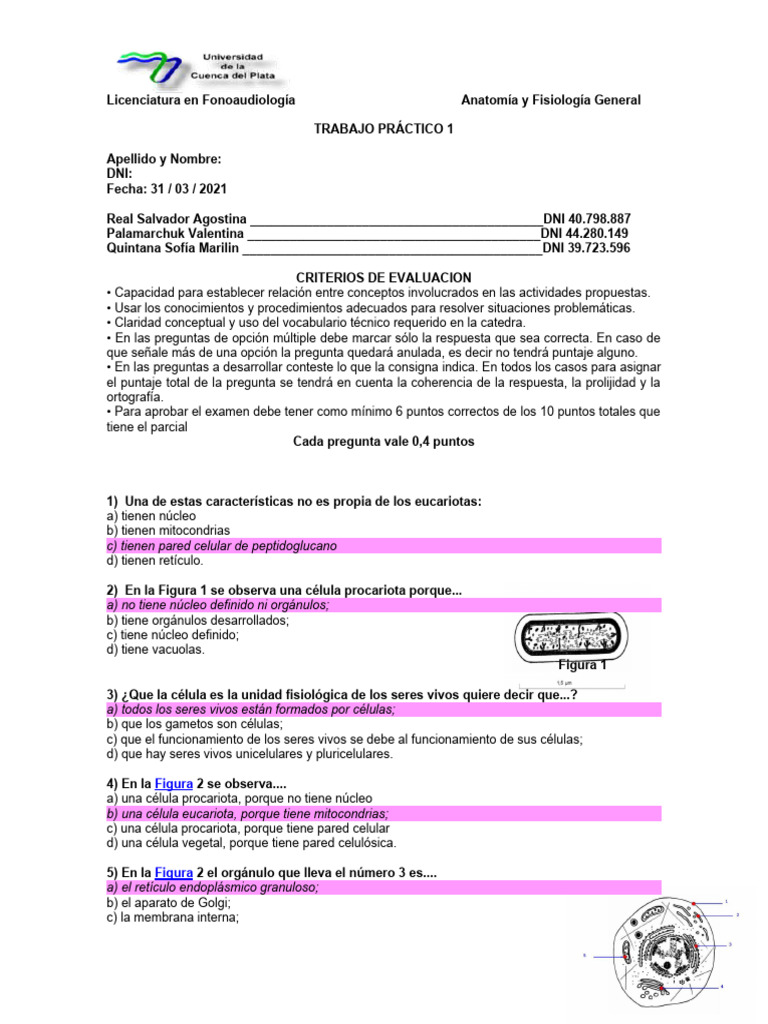 TP1 2021 Anato y Fisio | PDF | Tejido conectivo | Músculo