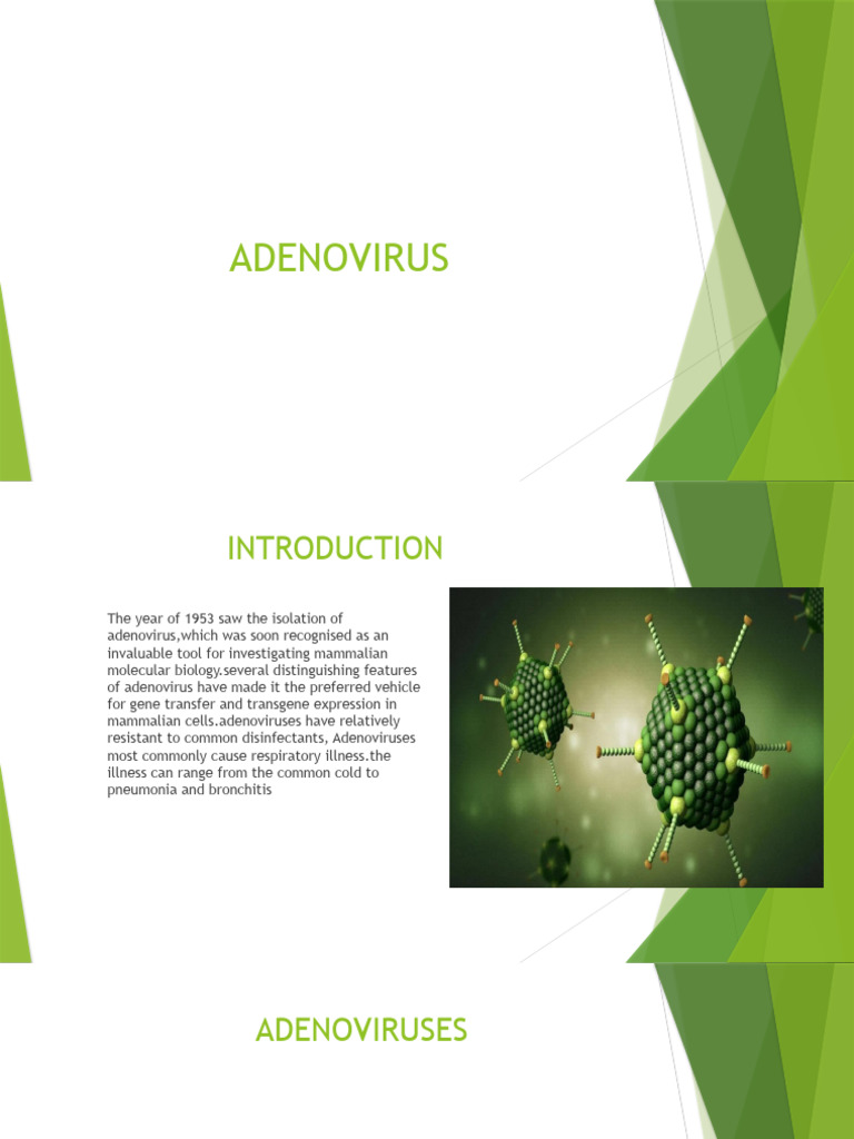 Adenovirus | PDF | Adenoviridae | Biology
