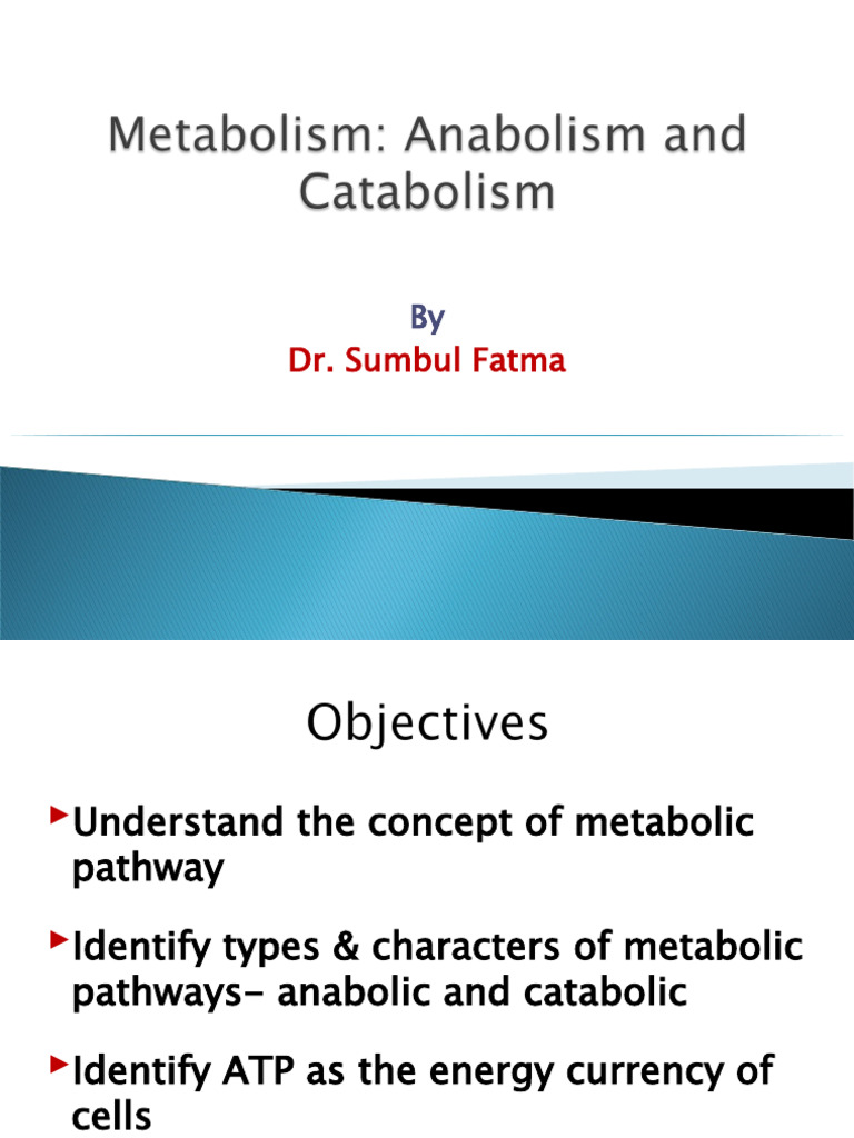 9 Introduction to Metabolism 2016 | PDF | Metabolic Pathway | Metabolism