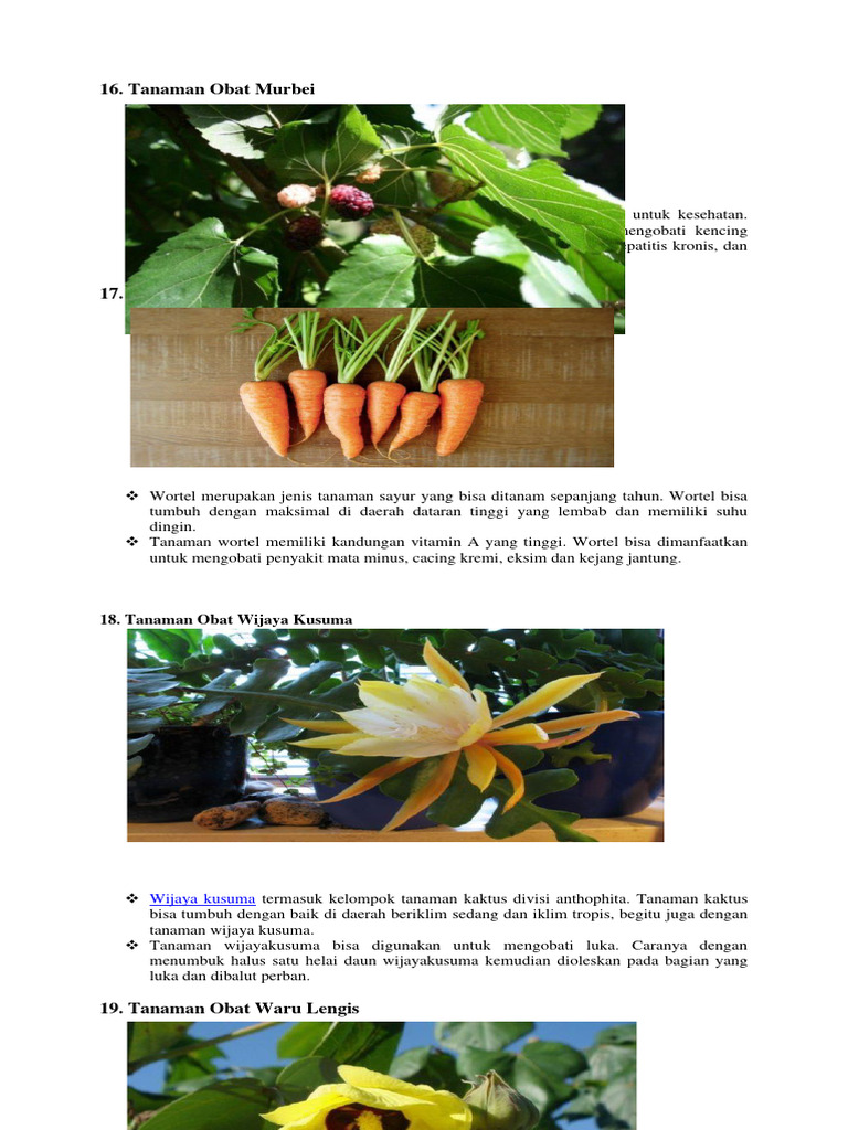 Jenis Toga 4 | PDF | Teknologi & Rekayasa