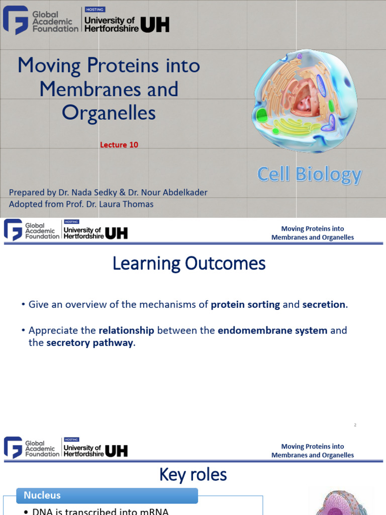 Lecture 10 - Moving Proteins Into Membranes and Organelles | PDF ...