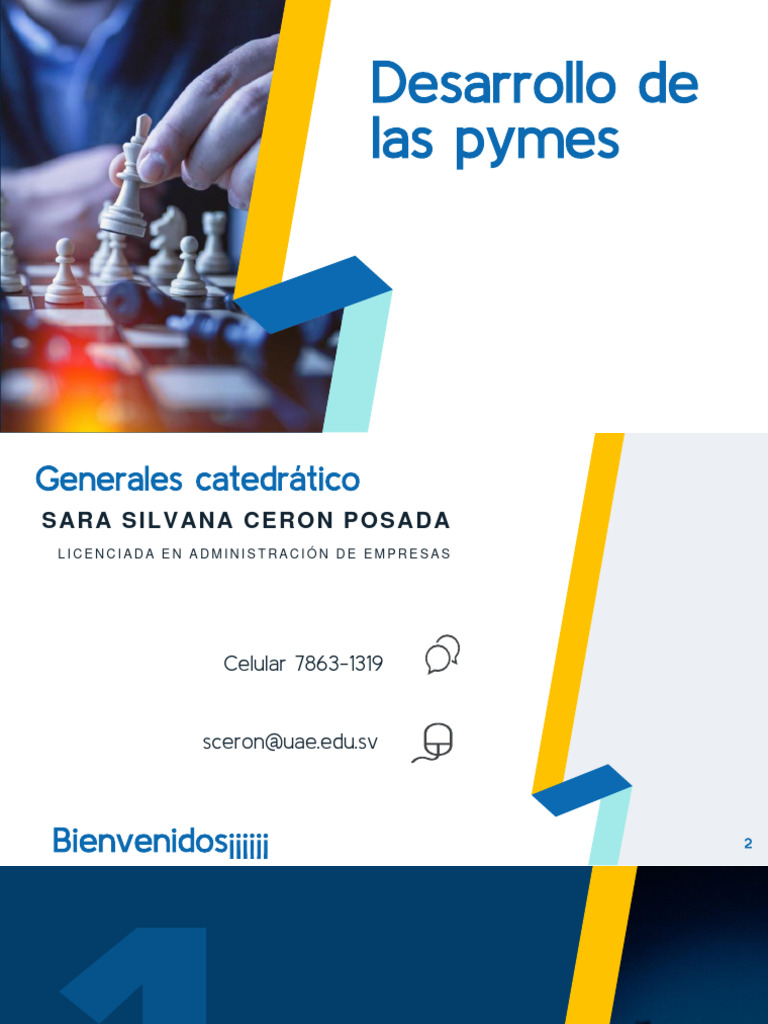 Contenido 1 | PDF | Pequeñas y medianas empresas | Business