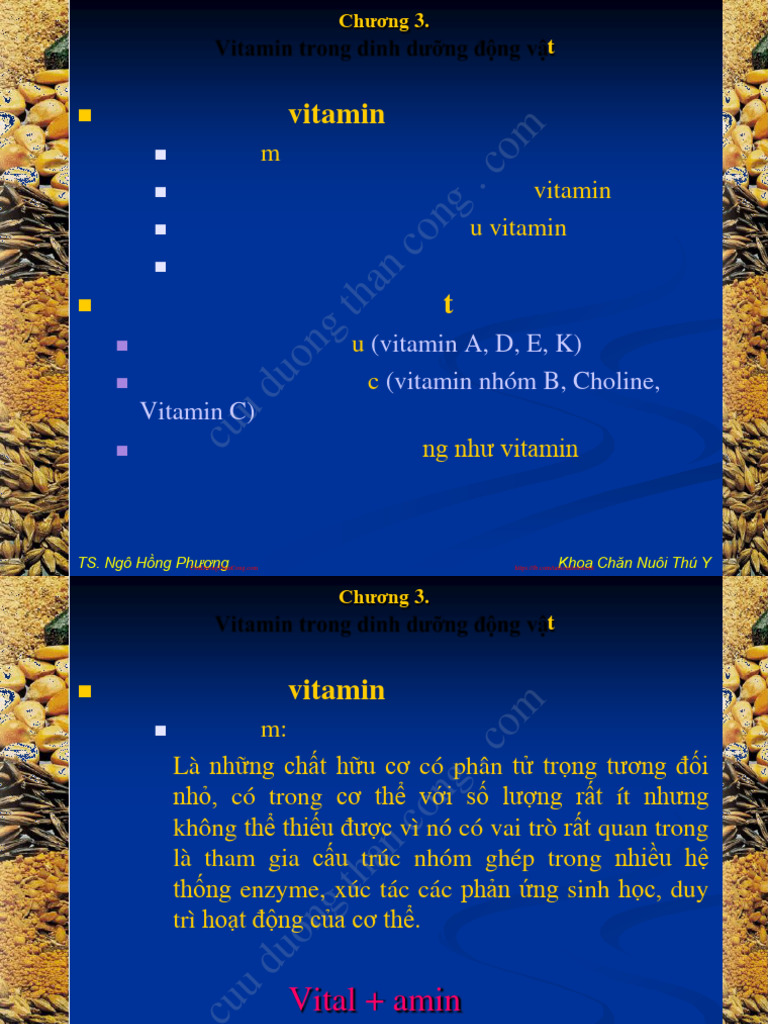 Dinh Duong Ngo Hong Phuong c3 Vit Vitamin Trong Dinh Duo NG Do NG Va T (Cuuduongthancong - Com ...