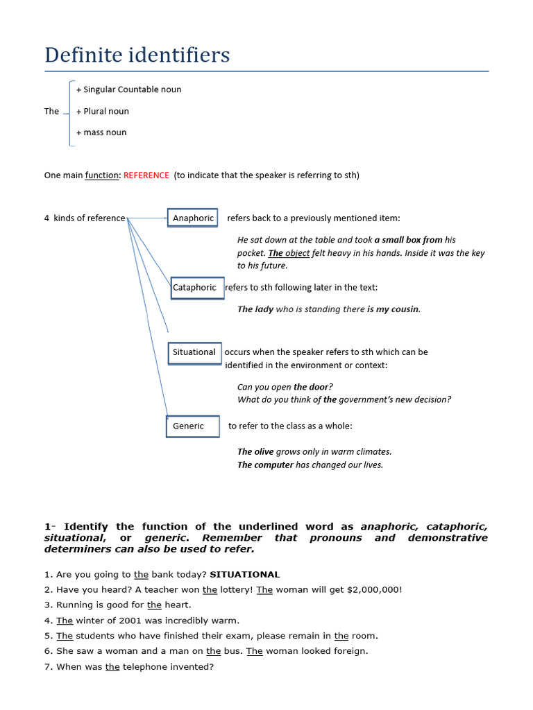 Definite Identifiers - Theory & Practice | PDF | Noun | Grammatical Number