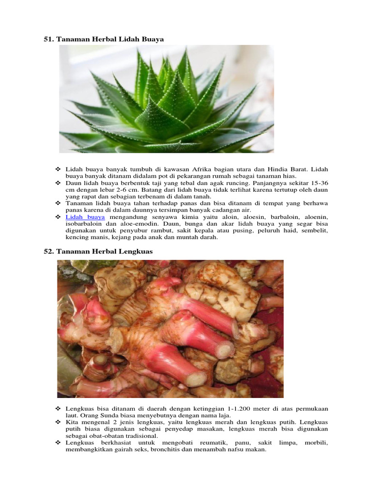 Jenis Toga 11 | PDF | Griya & Taman