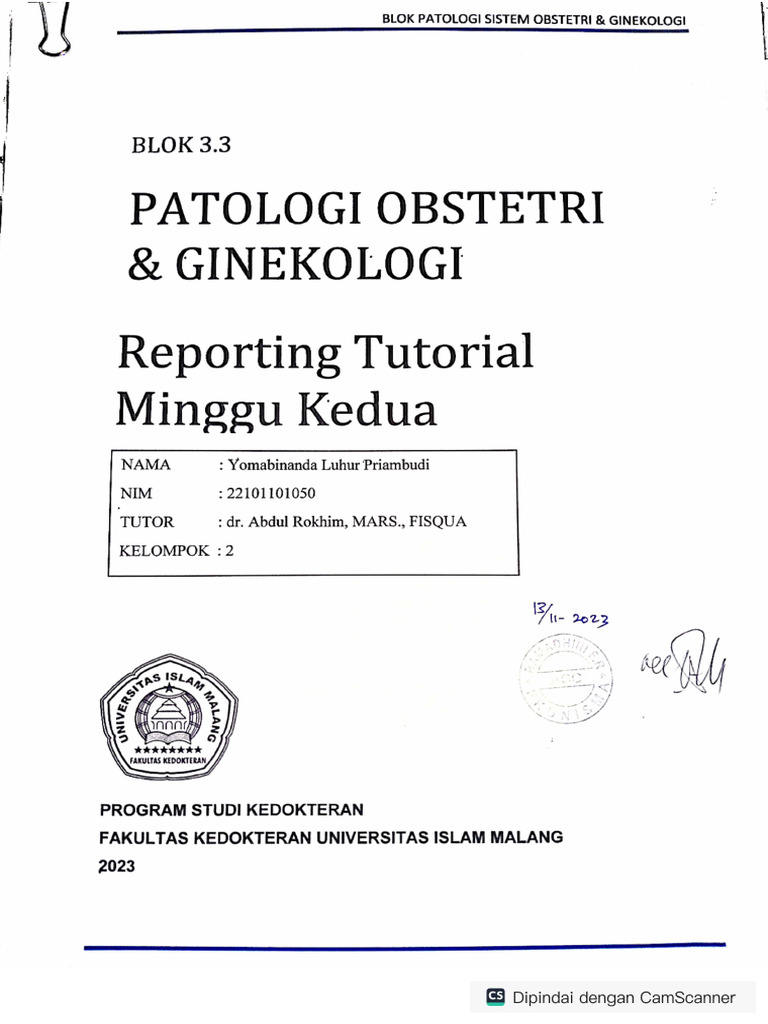 MGG 2 Obgyn | PDF