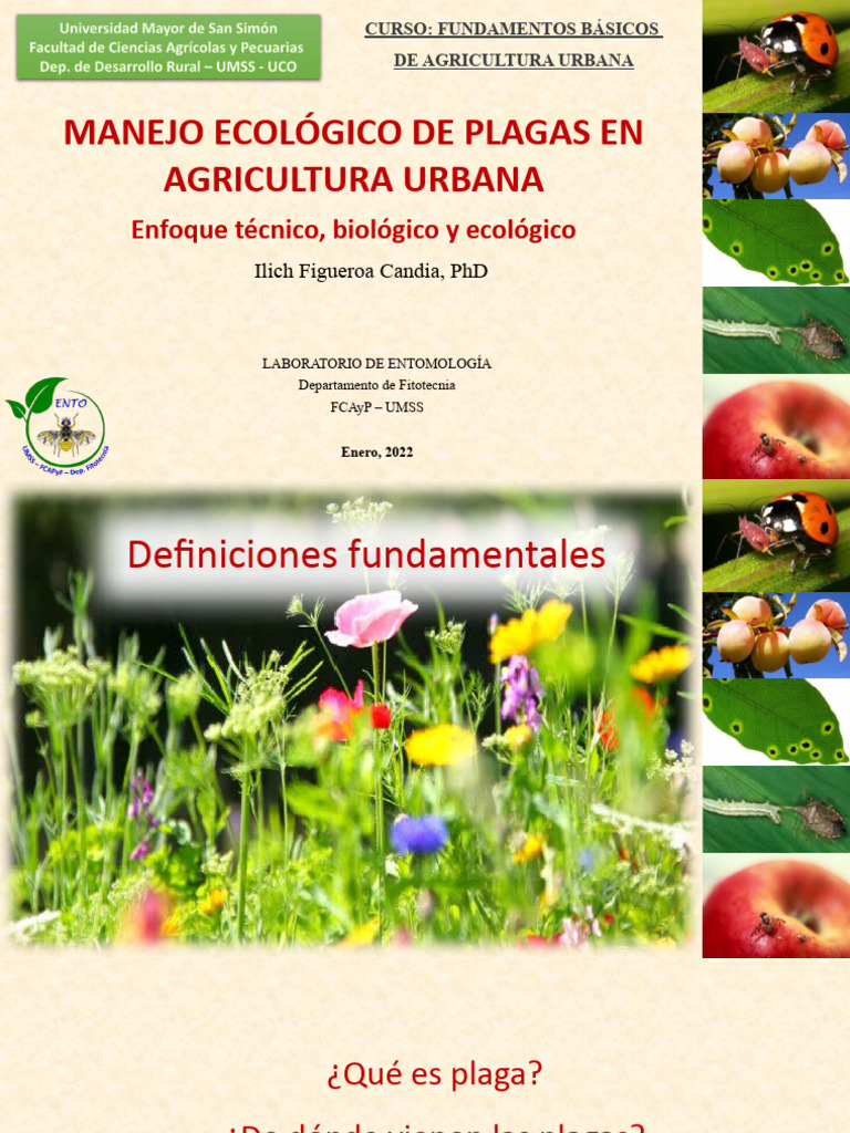 Manejo Agroecologico de Plagas - Presentación ILICH FIGUEROA | PDF | Control biológico de plagas ...