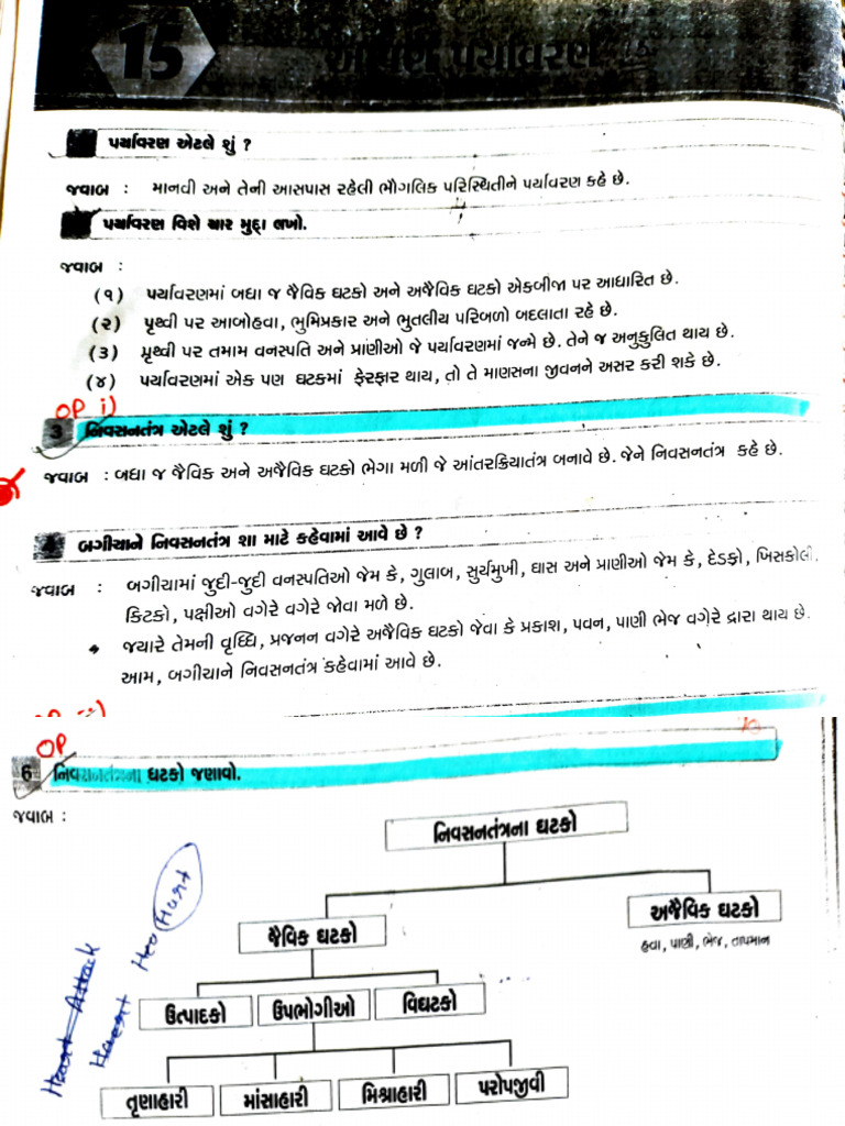 Colour trading | PDF