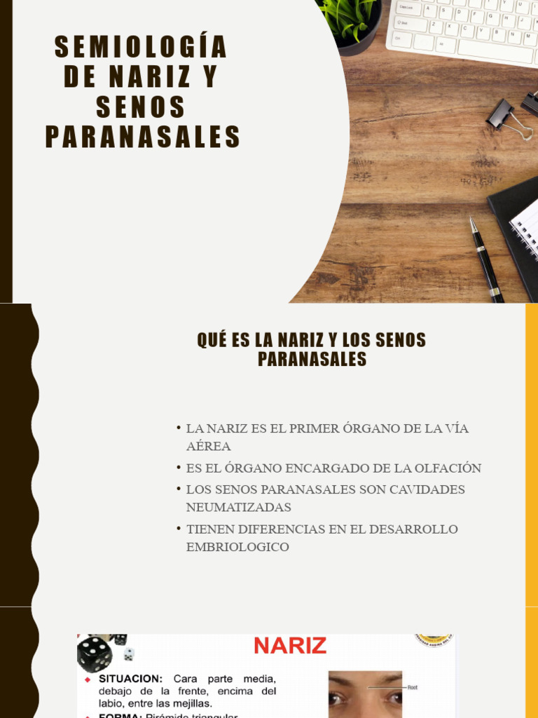SEMIOLOGIA DE NARIZ | PDF | Cara | Anatomía