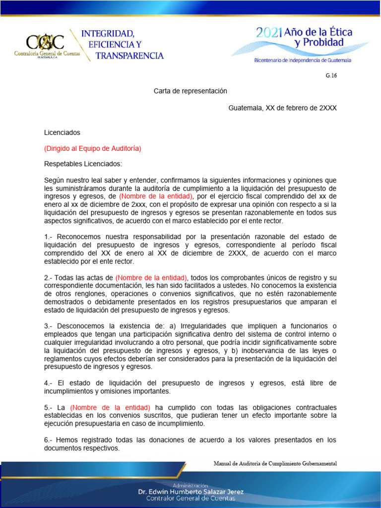 Guía 16 Carta de Representación | PDF | Presupuesto | Auditoría