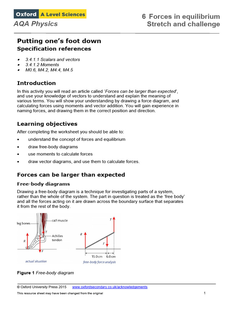 Moments Extra Questions | PDF | Force | Foot