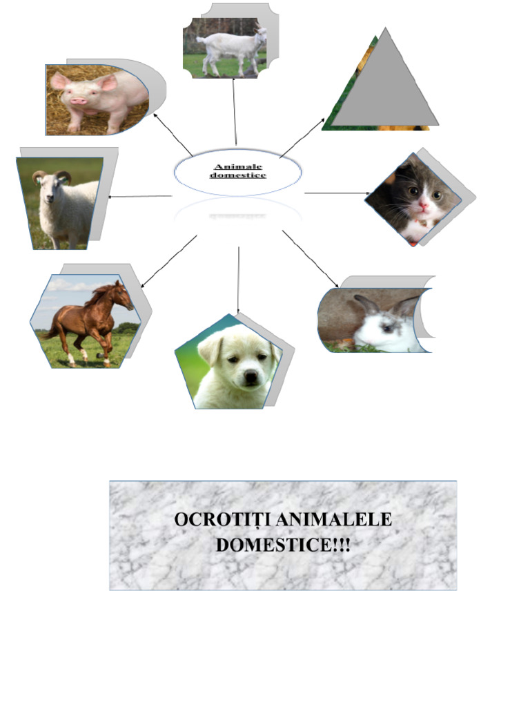 Fisa Animale | PDF