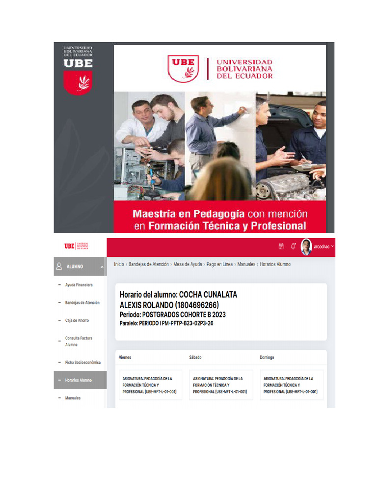 Postgrado-Alexis Cocha | PDF