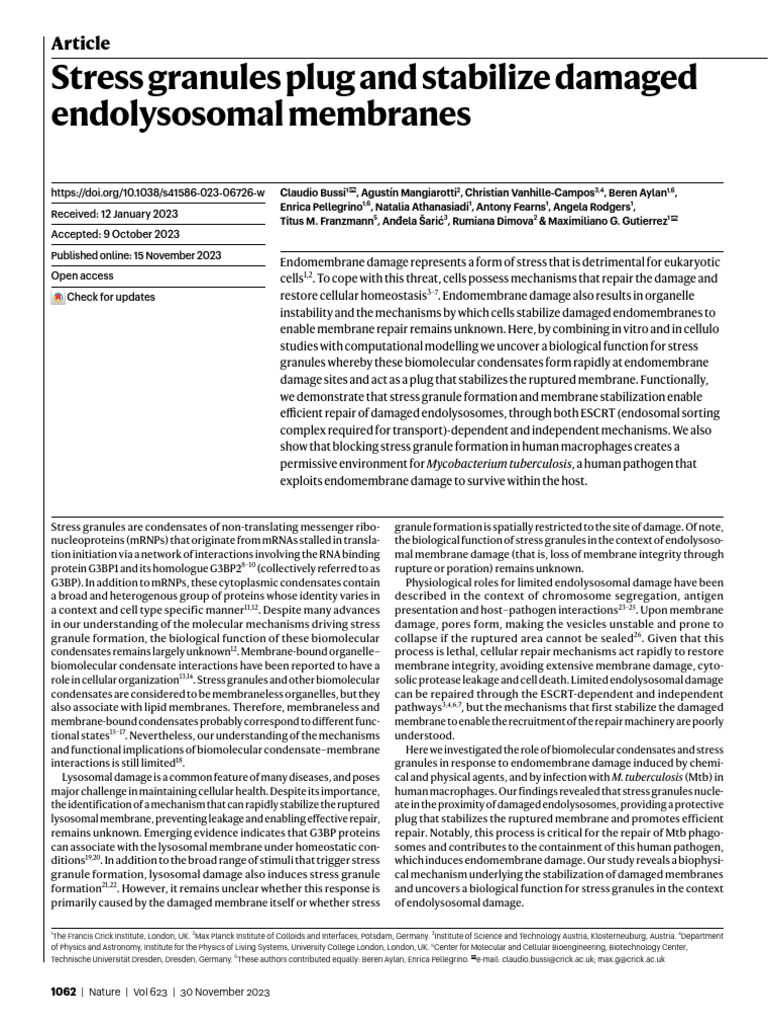 Stress Granules Plug and Stabilize Damaged Endolysosomal Membranes ...