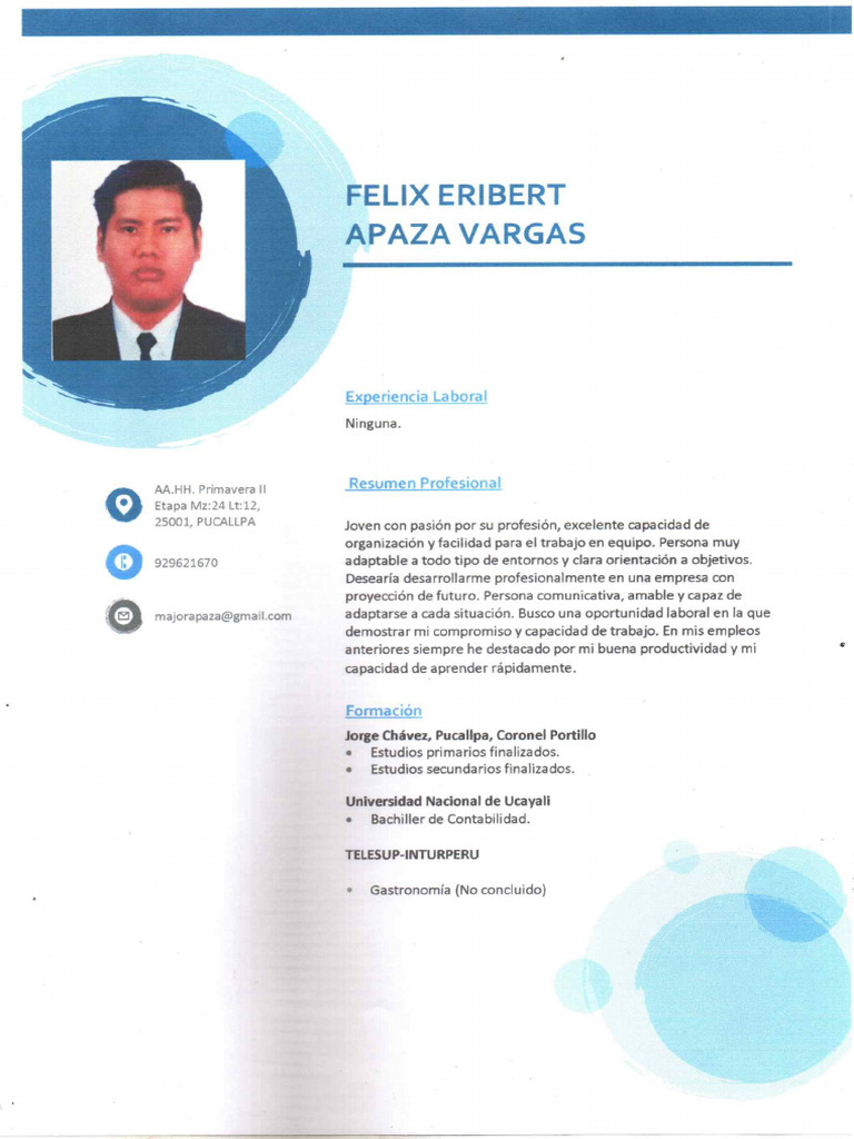 Cv-Feliz E. Apaza Vargas | PDF