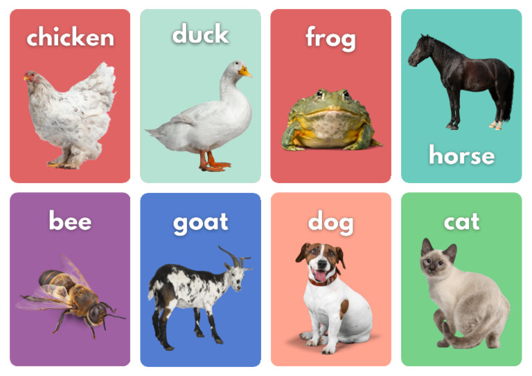 Animals Flashcard Memory Game | PDF