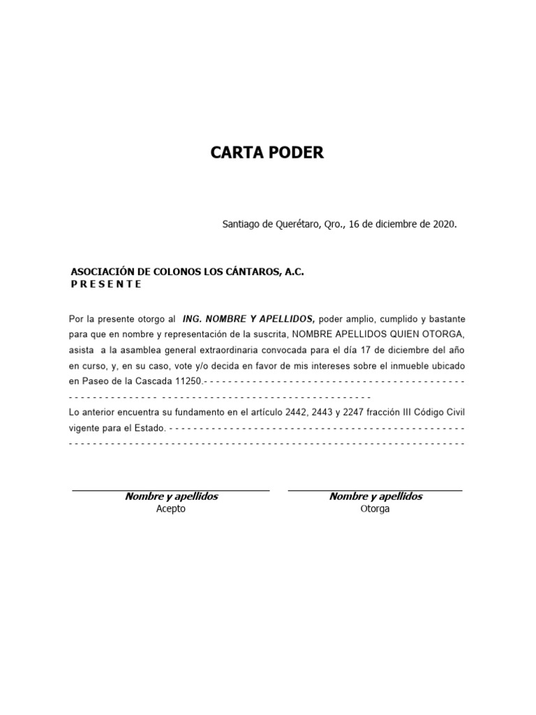 Carta Poder (persona física) | PDF