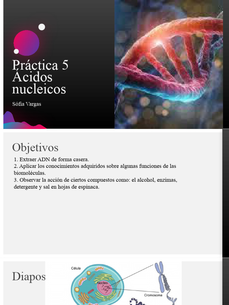 Práctica 5 Ácidos Nucleicos | PDF | Proteínas | Adn