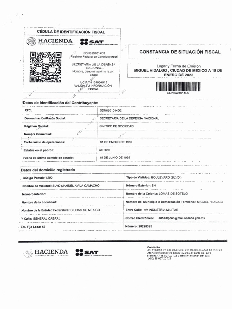 Cedula Fiscal 000010 | PDF