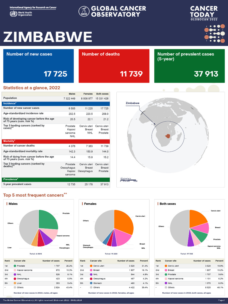 716 Zimbabwe Fact Sheet | PDF | Cervical Cancer | Cancer