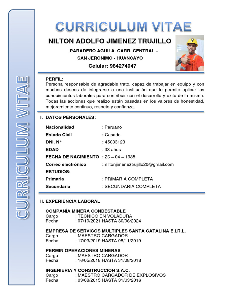 CV - Adolfo | PDF | Documento de identidad | Información