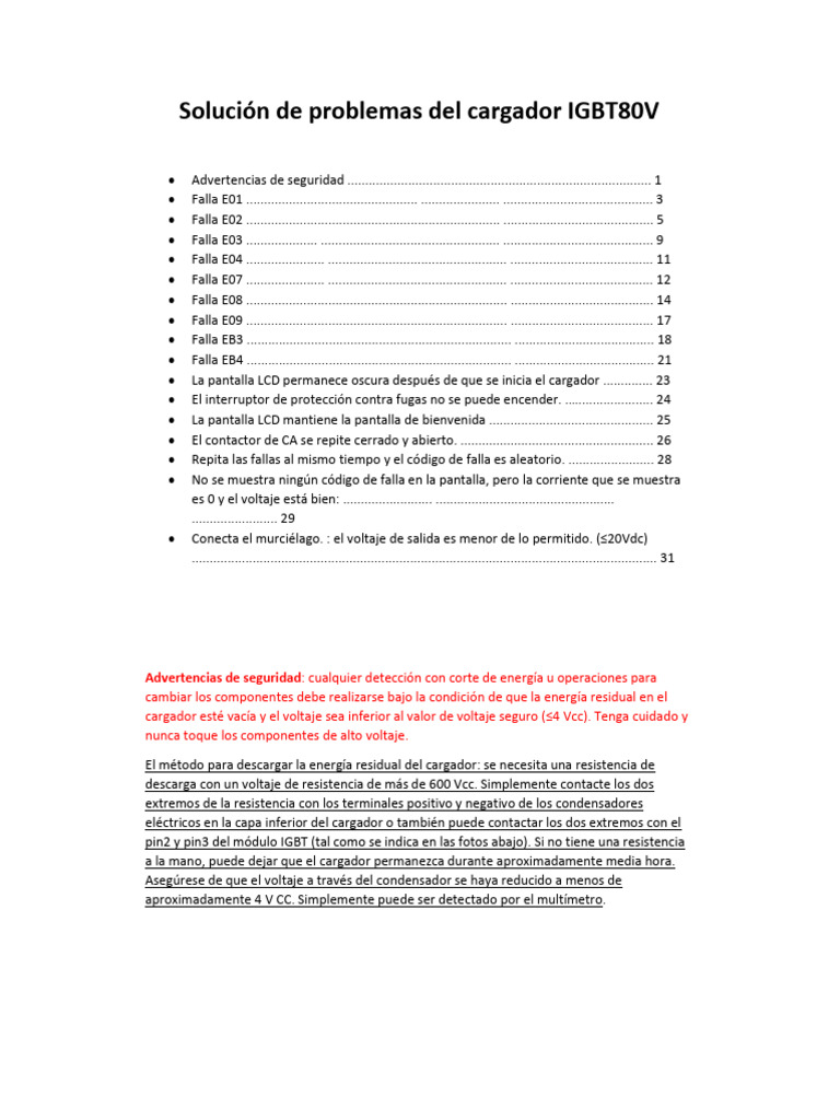 byd-cargador-manual-servicio | PDF | Cargador de batería | Fuente de alimentación