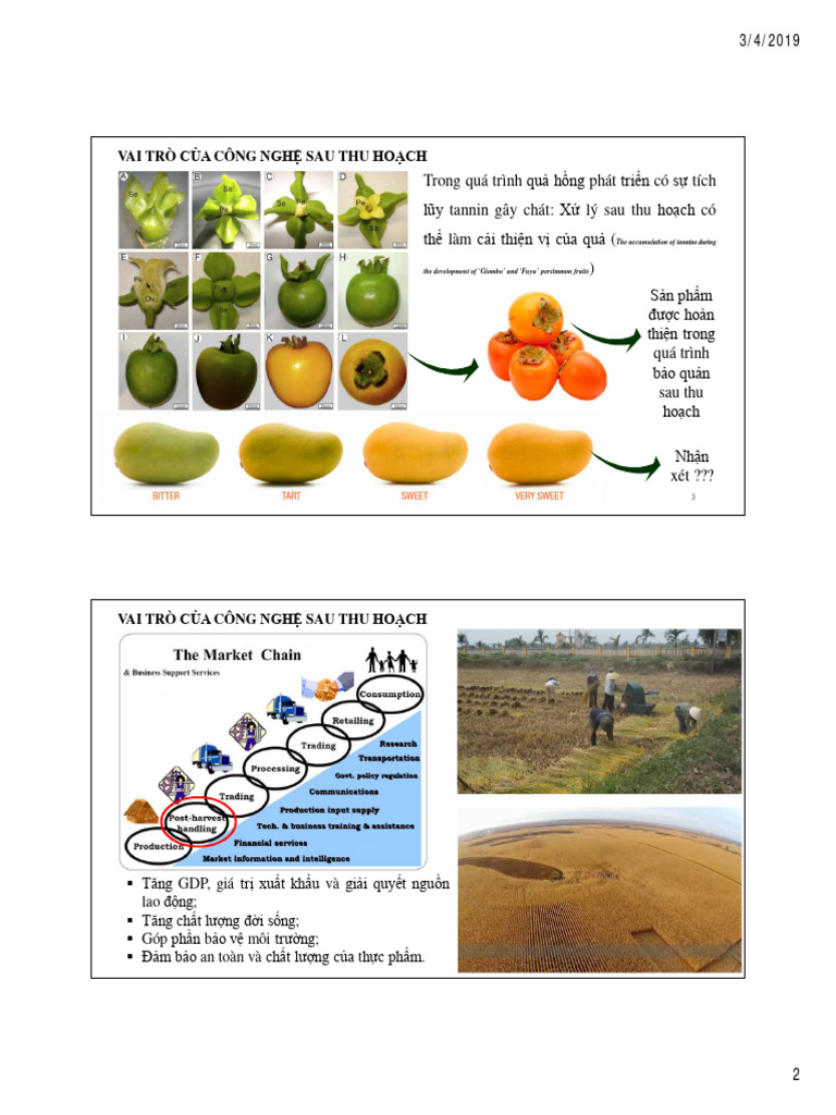 Slide Bai Giang 2 | PDF