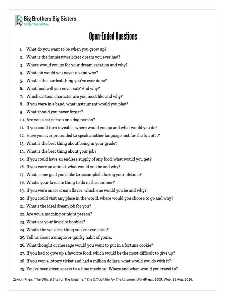 New Open Ended Questions | PDF