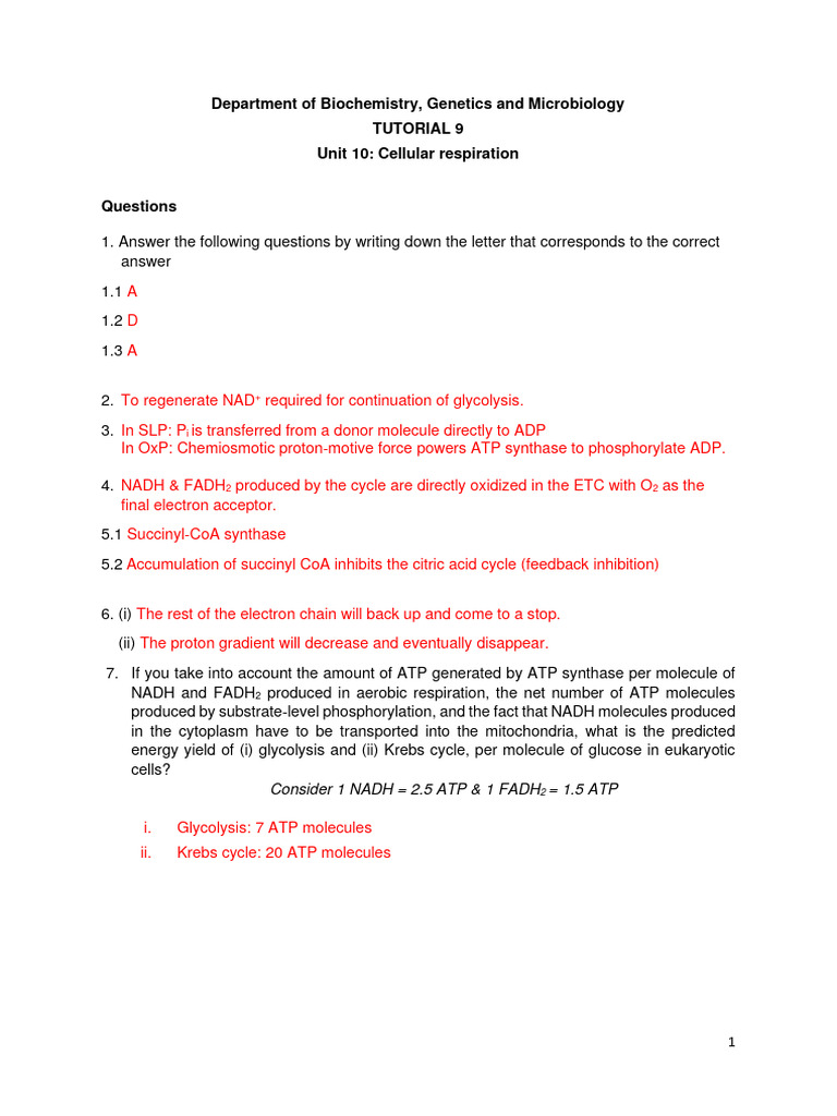 Tutorial 9 MEMO 2024 | PDF | Cellular Respiration | Adenosine Triphosphate Tutorial 9 MEMO 2024 | PDF | Cellular Respiration | Adenosine Triphosphate