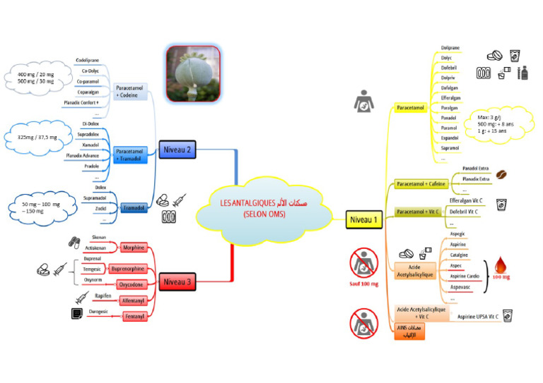 les-Antalgiques | PDF