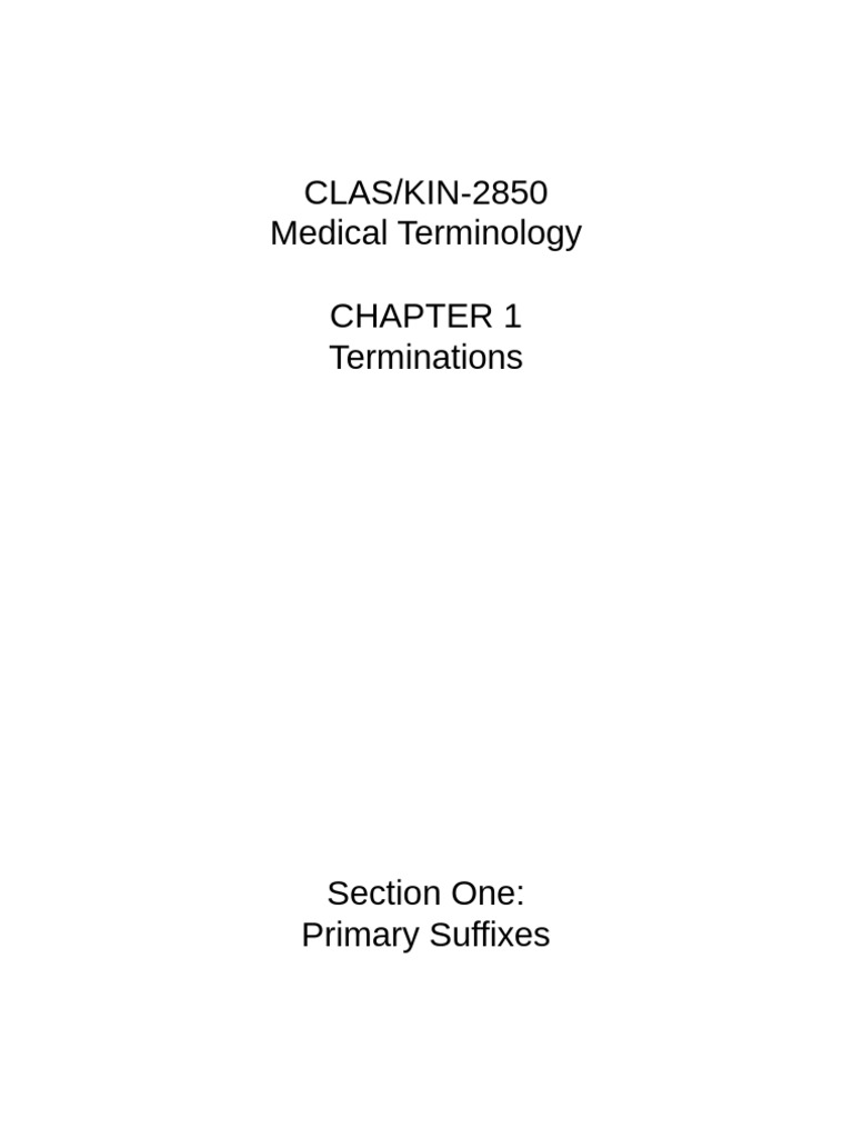 01 - Chapter 1 - Summary | PDF | Grammatical Gender | Grammatical Number