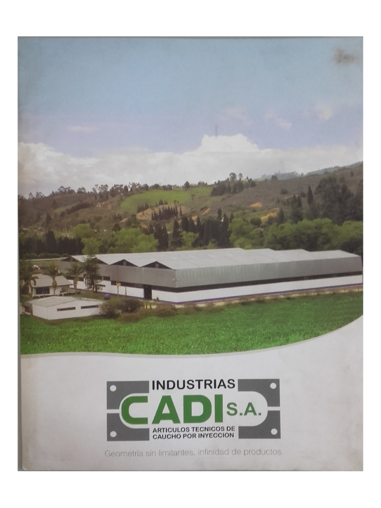 Catálogo Oring CADI | PDF