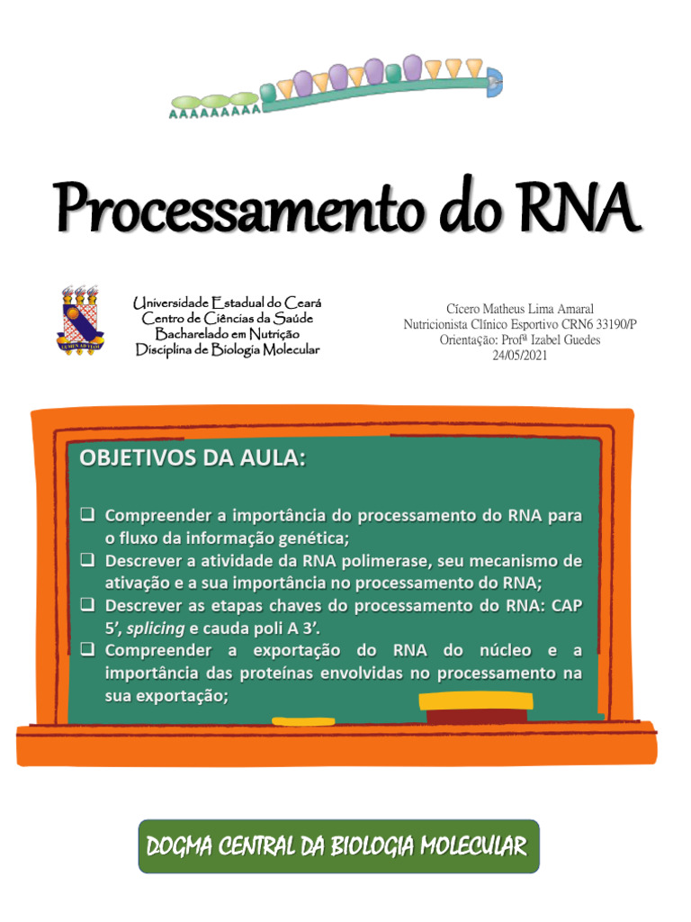 Processamento do RNA: Etapas e Importância | PDF | Splicing | Gene