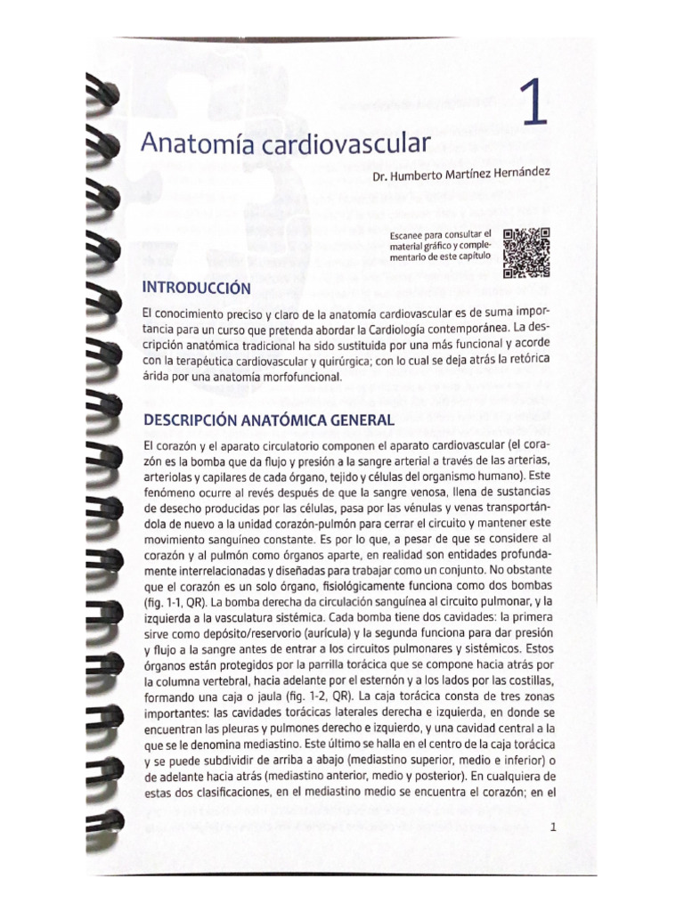 Anatomía Cardiovascular | PDF