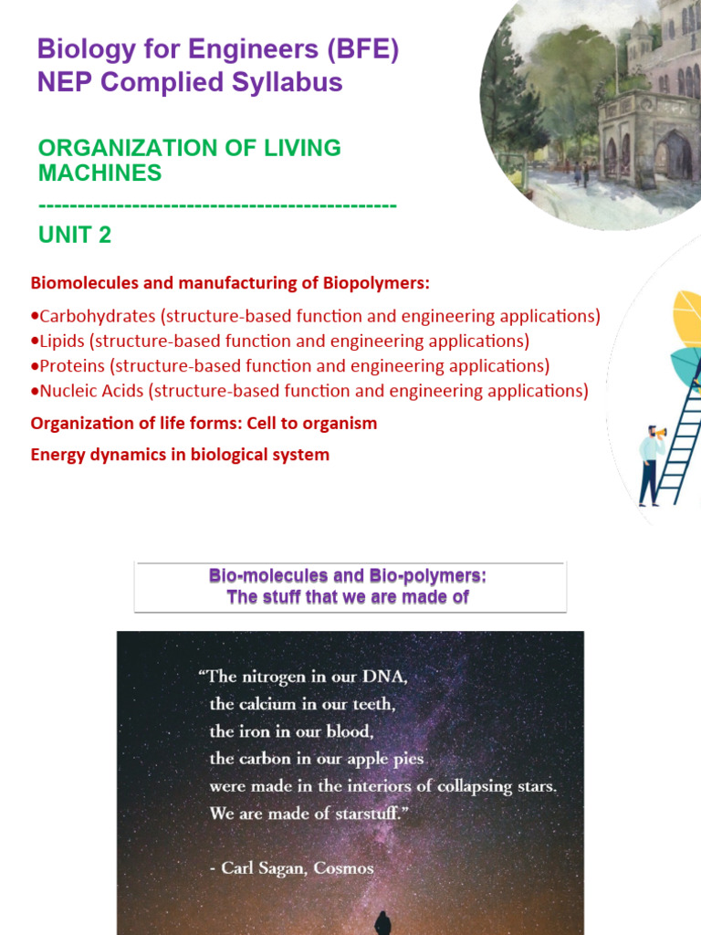 Insulation Role of Lipids in Organ Protection | PDF | Cell Nucleus ...