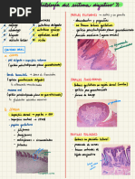 Ángulo de Louis | PDF | Tórax | Anatomía humana