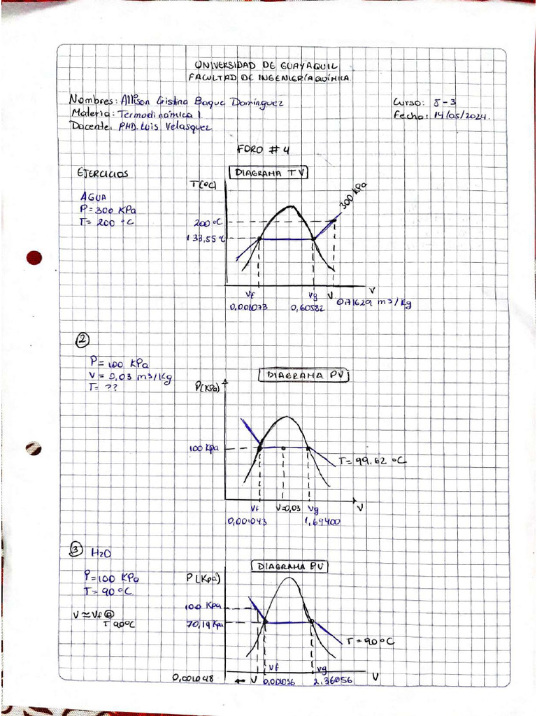 FORO TERMO ALLISON BAQUE - Compressed | PDF
