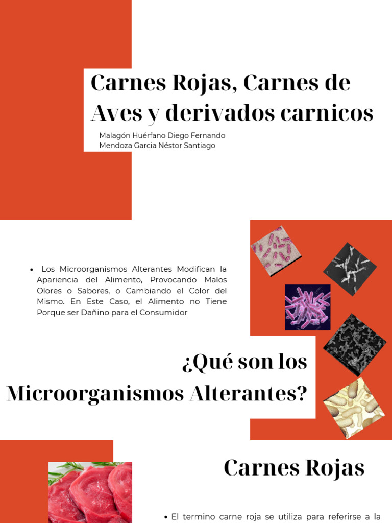 Carnes Rojas, Carnes de Aves y Derivados Carnicos | PDF | Carne | Alimentos