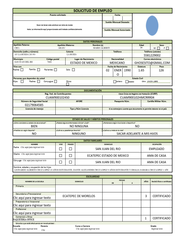Formato Solicitud de Empleo | PDF