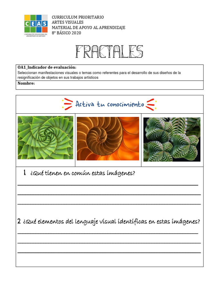 Fractales en Artes Visuales 8° Básico | PDF | Fractal