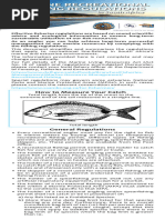 Marine Recreational Fishing Brochure | PDF | Angling | Fish