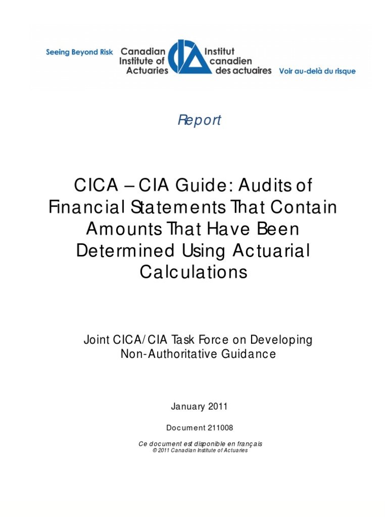 CICA CIA Guide Audits of Financial Statements That Contain Amounts That ...