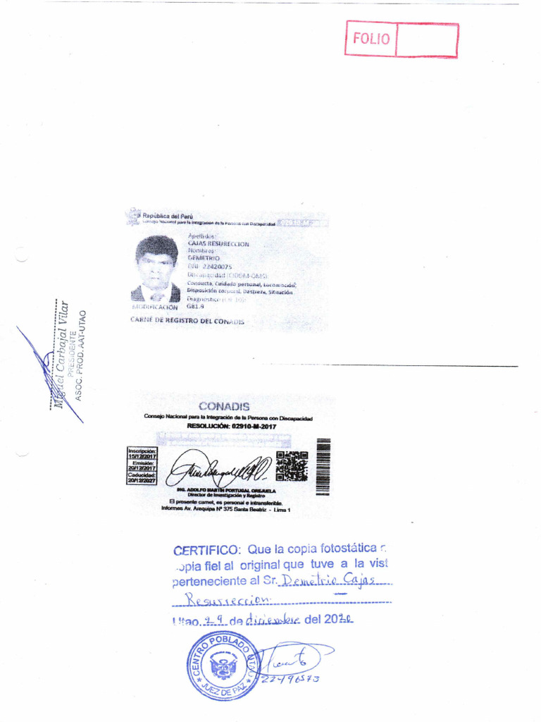 Carnet Conadis | PDF