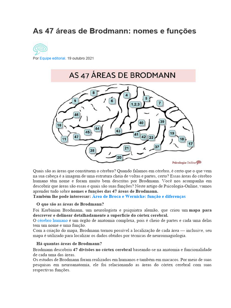 Funções das 47 Áreas de Brodmann | PDF | Córtex cerebral | Lobo temporal